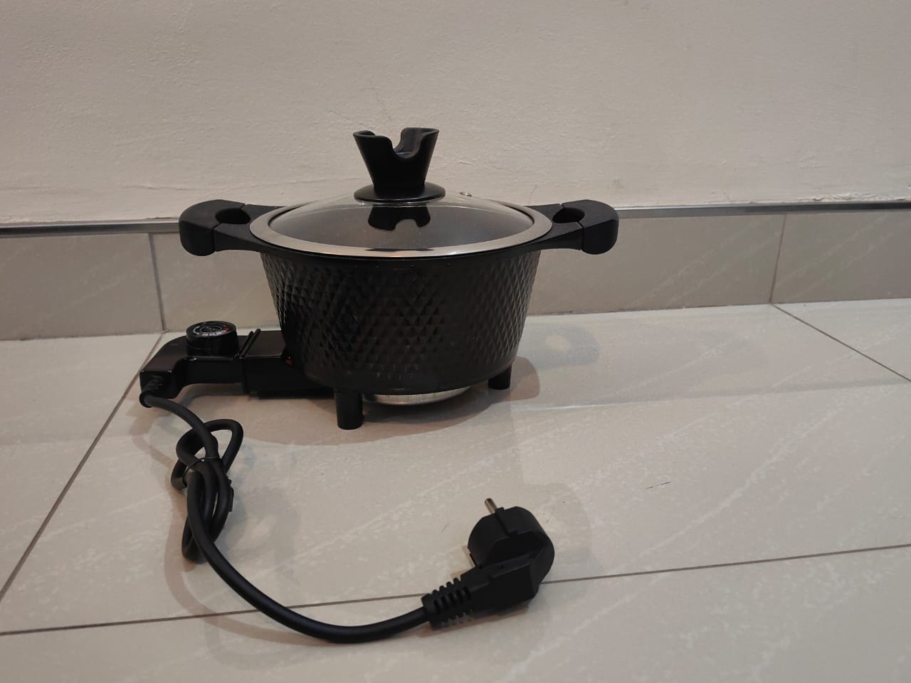 Electric Travel Pot with Lid and Temperature Control - Just About Anything